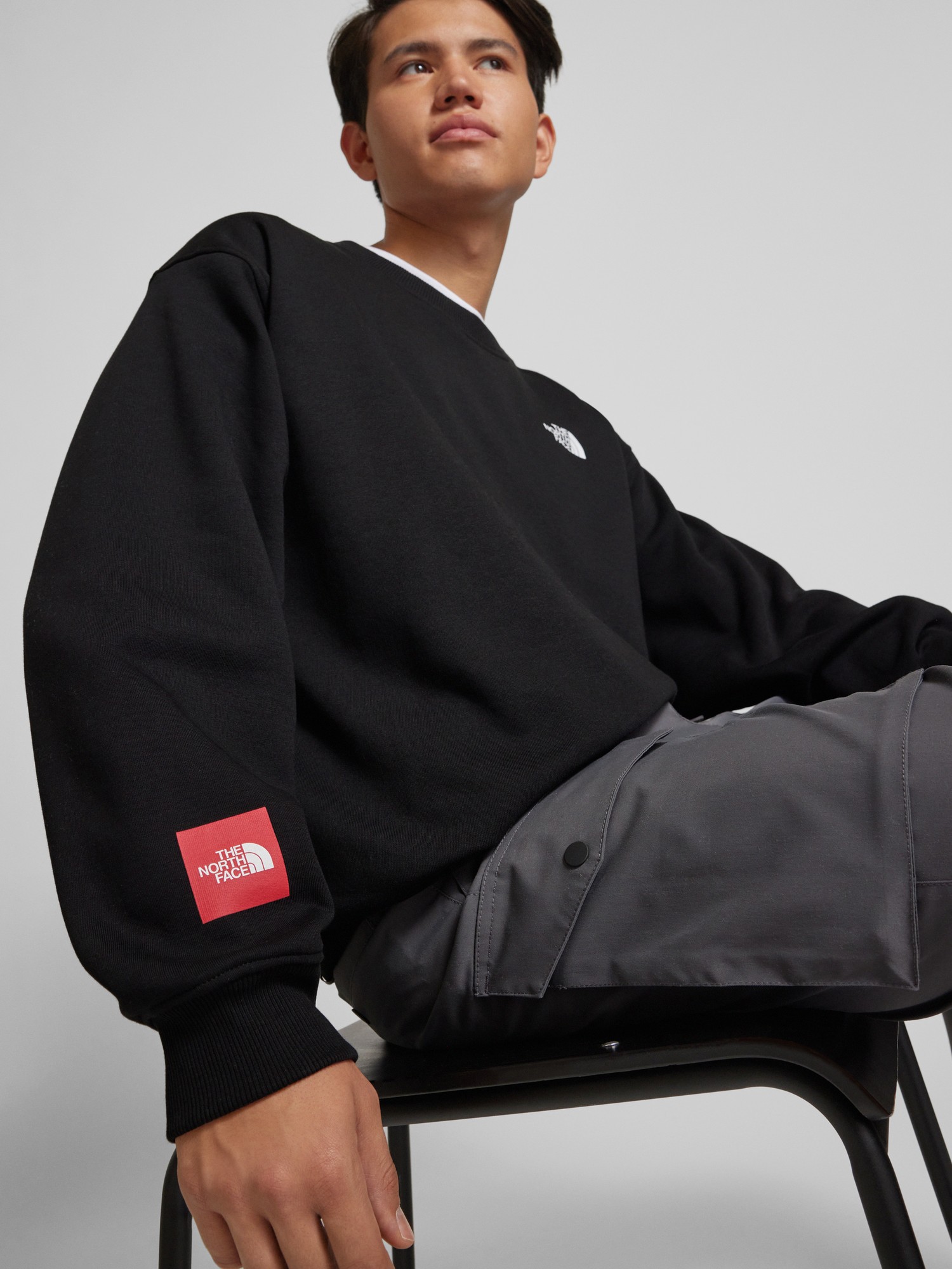 The North Face Sweatshirt mit Label-Print Modell 'AXYS' (black) online ...