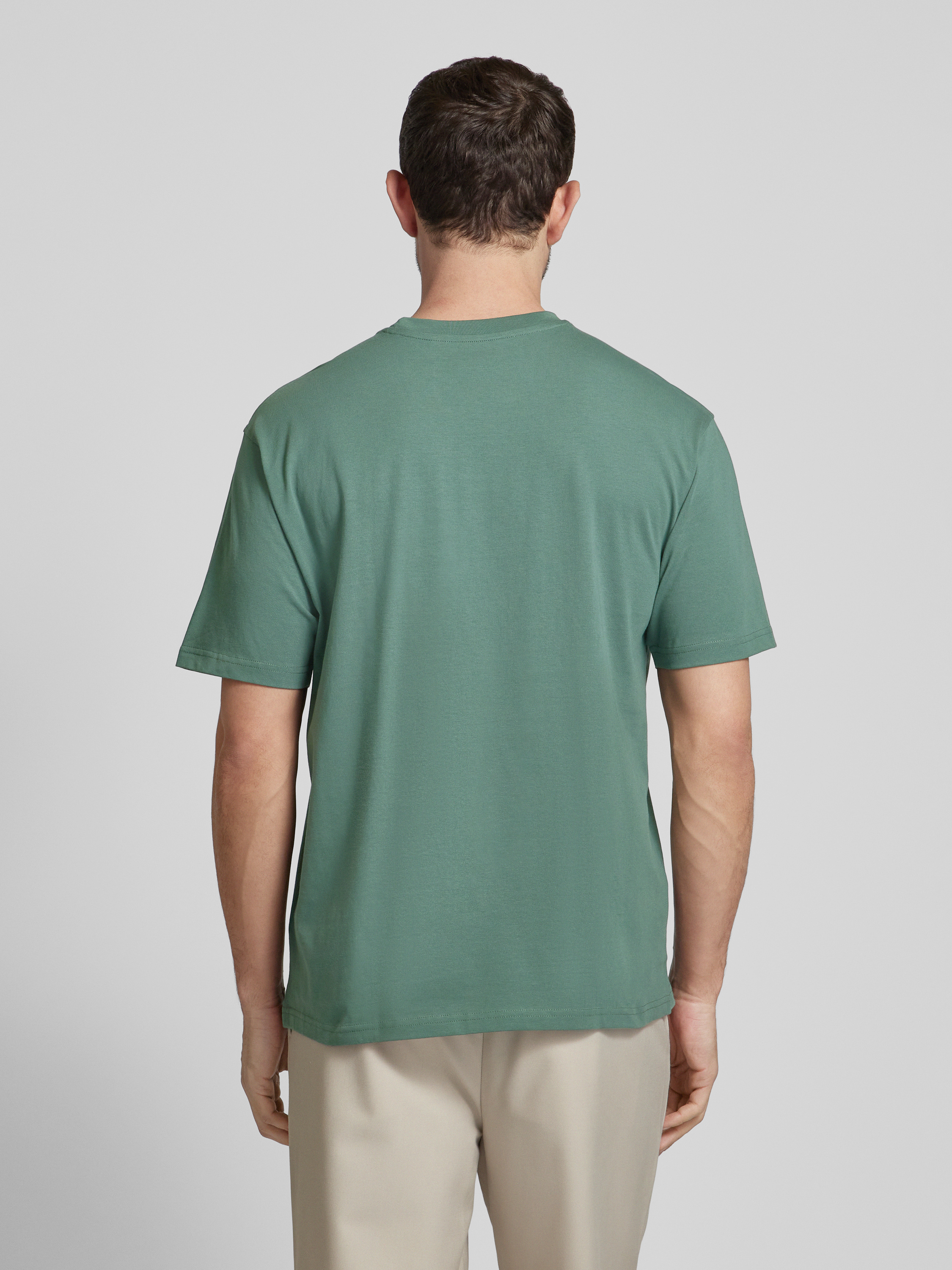 MCNEAL T-shirt met ronde hals in rietgroen online kopen | P&C