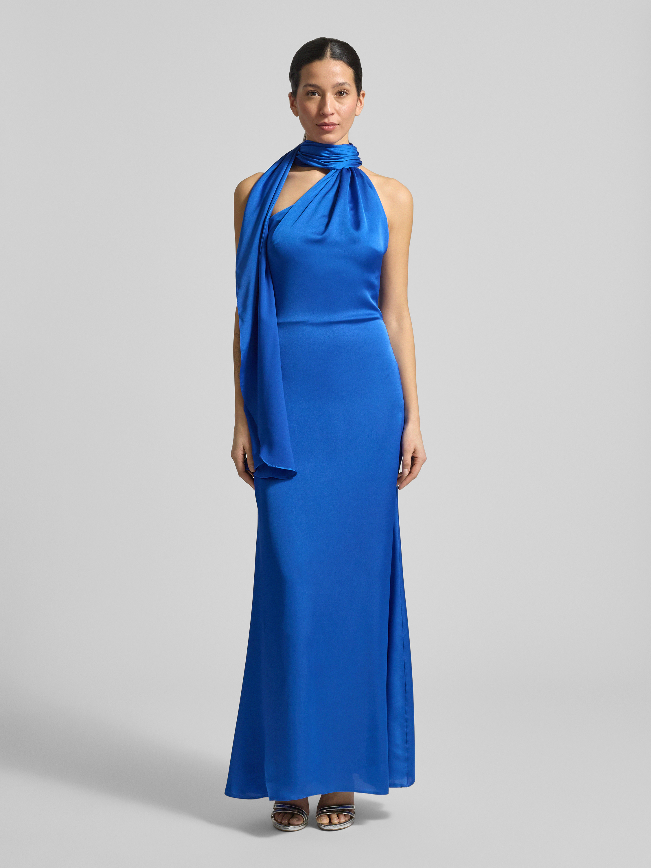 TROYDEN COLLECTION Neckholder-Abendkleid mit Schal (royal) online kaufen