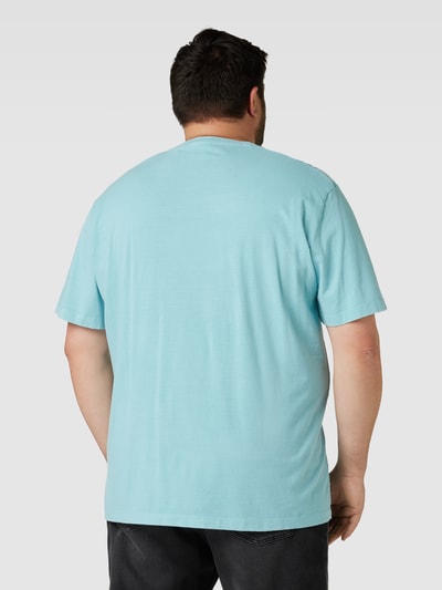 S.Oliver Plus PLUS SIZE T-Shirt mit Label-Patch (mint) online kaufen