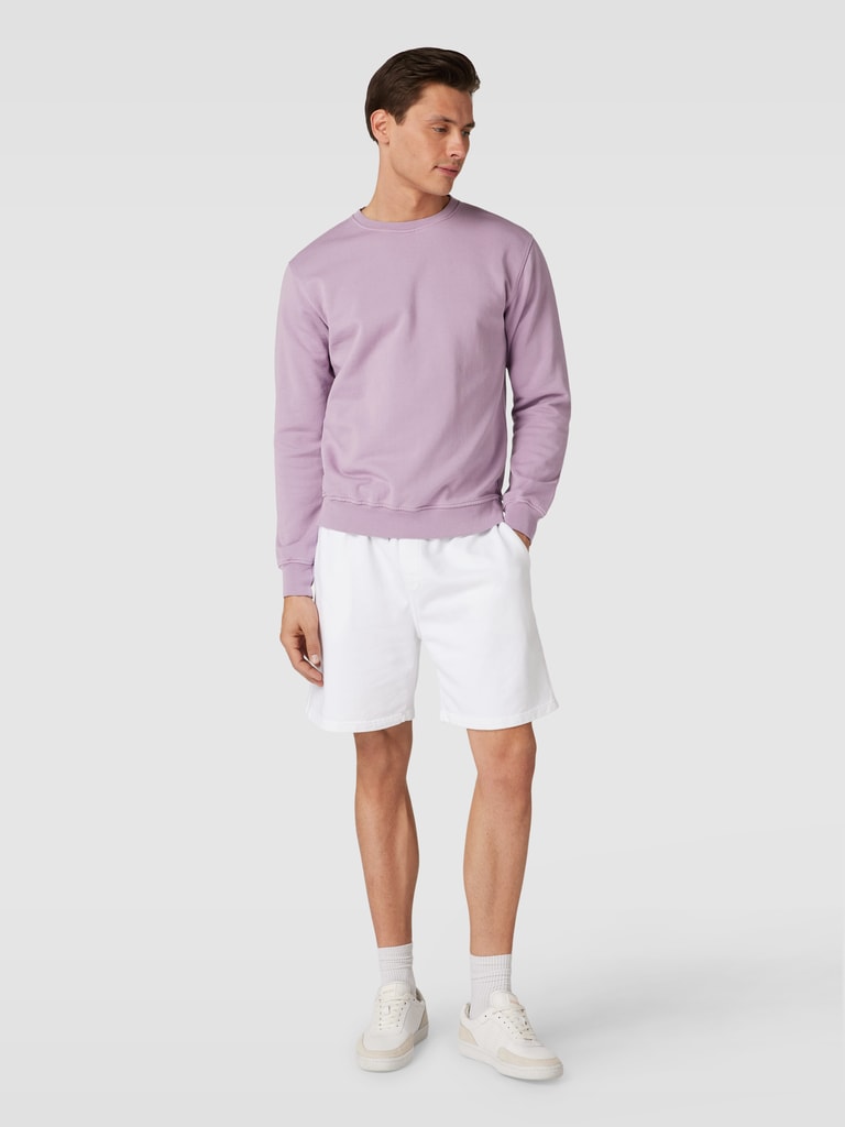 Colorful Standard Sweatshirt mit Rundhalsausschnitt (violett) online kaufen