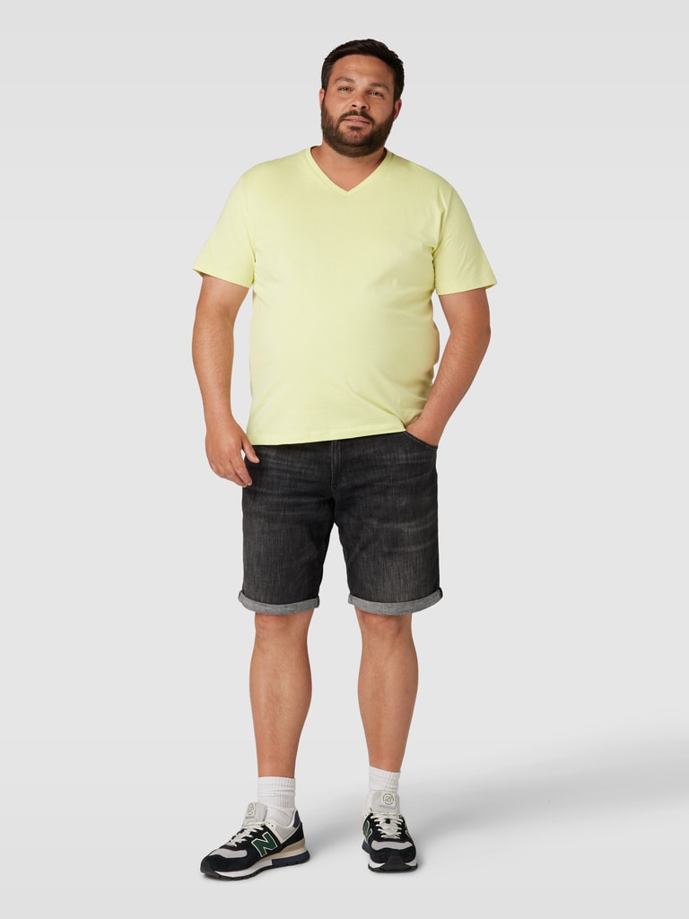 S.Oliver Plus PLUS SIZE T-Shirt mit V-Ausschnitt (hellgruen) online kaufen